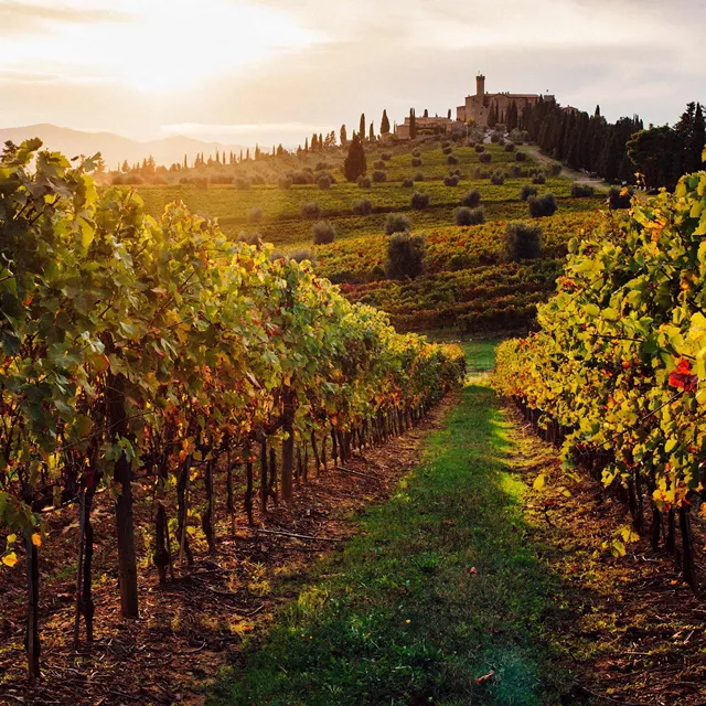 ROME AND TUSCAN HIGHLIGHTS - Star Travel