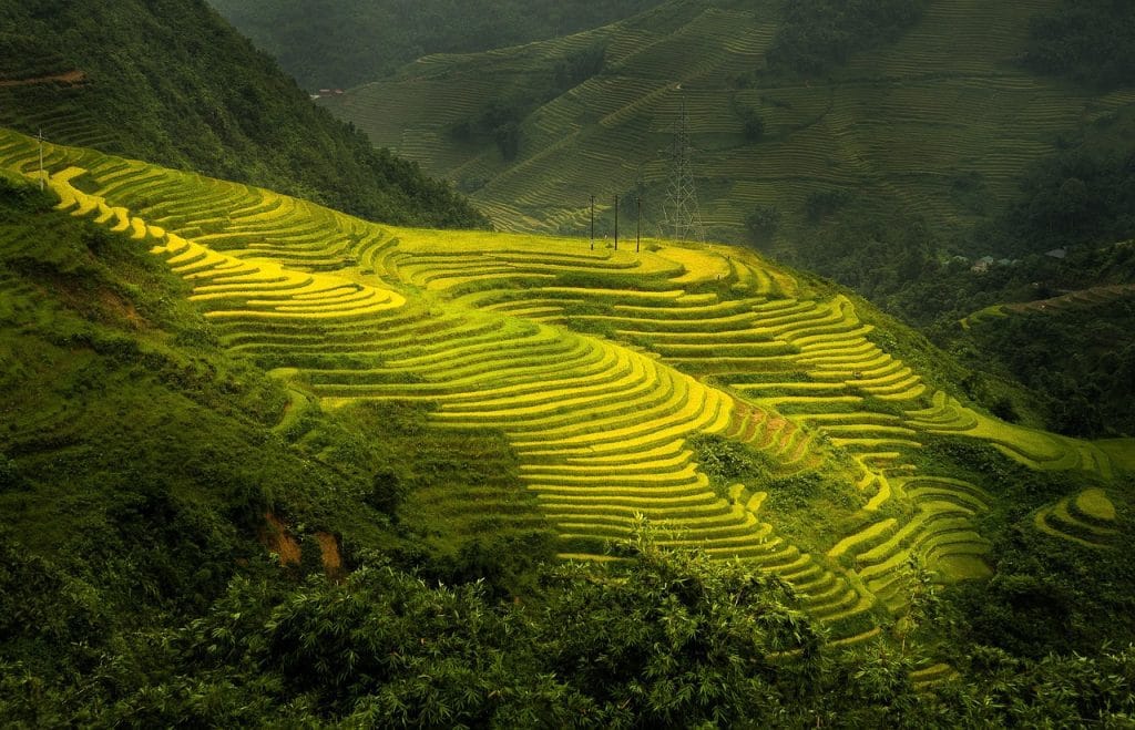 5D4N HANOI + SAPA VALLEY + SUN WORLD FANSIPAN - Star Travel
